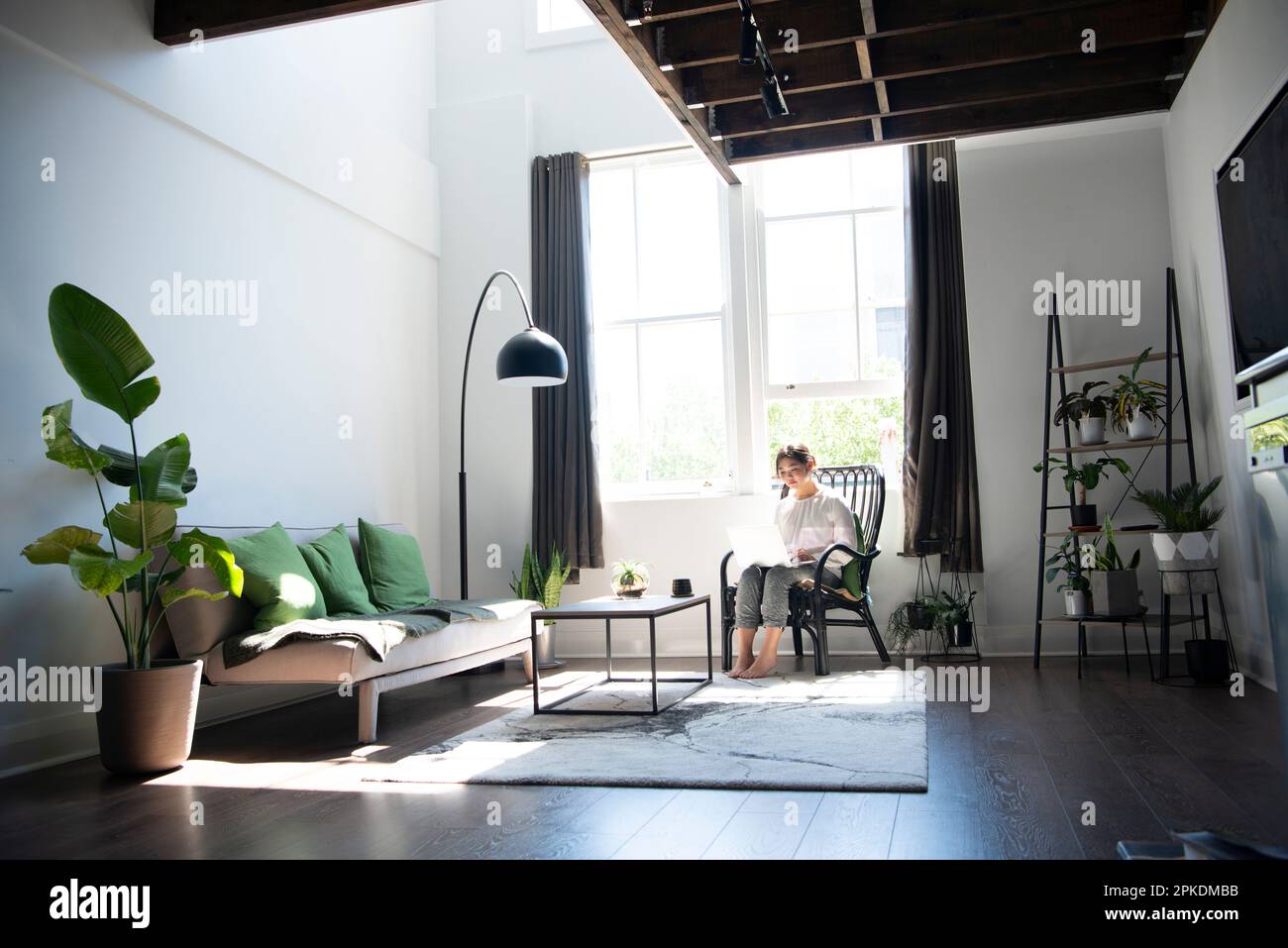 Woman operating a computer in the living room Stock Photo - Alamy