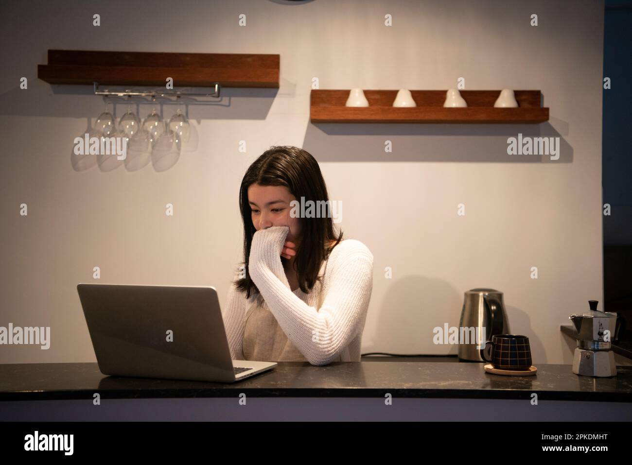 Woman looking at computer at counter Stock Photo - Alamy