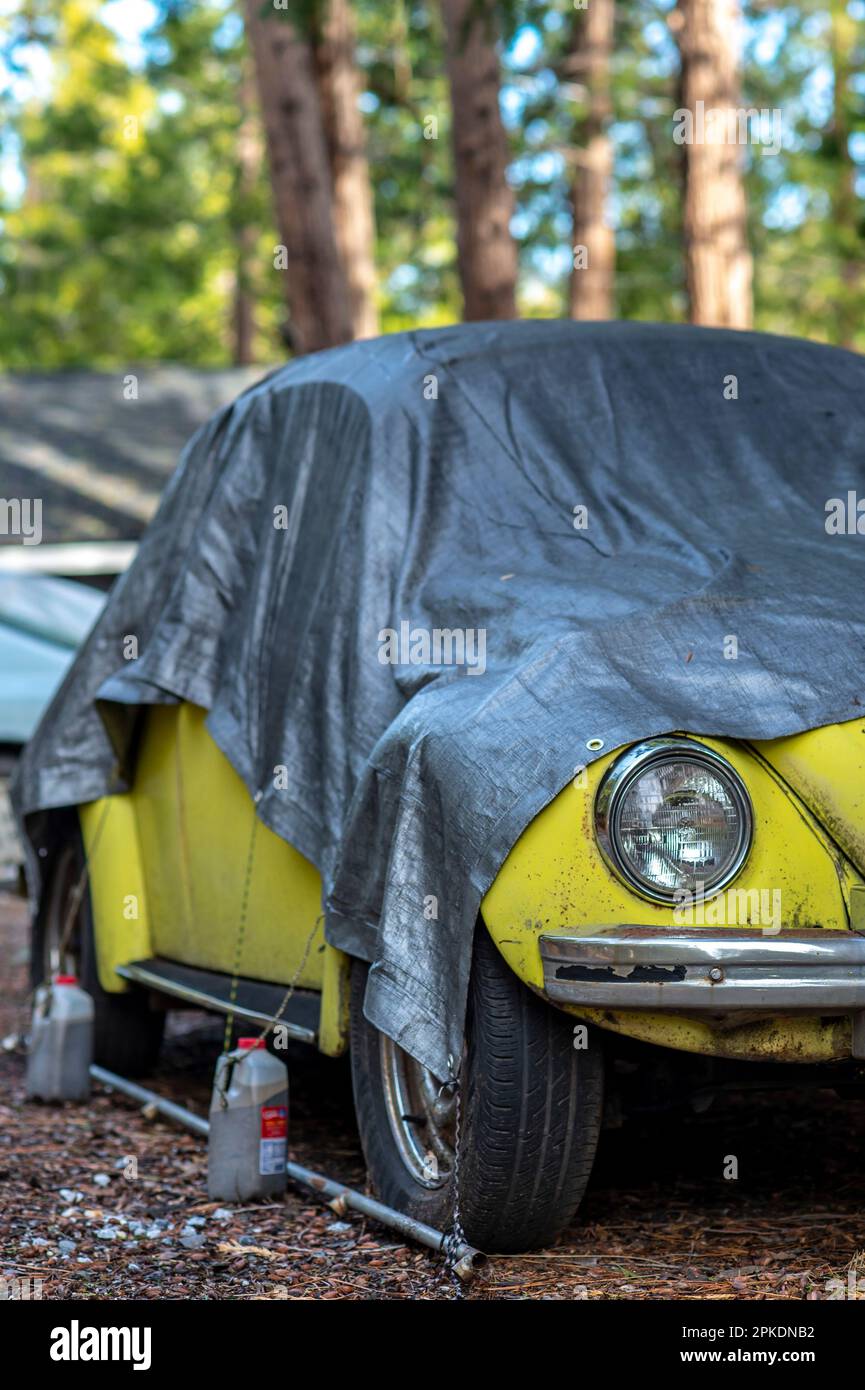 Volkswagen bug hi-res stock photography and images - Alamy