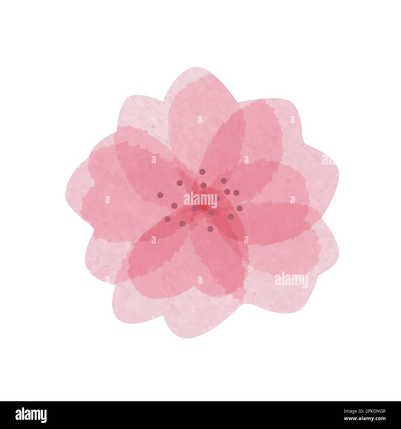 Isolated hand drawn beautiful watercolor sakura flower with messy ...