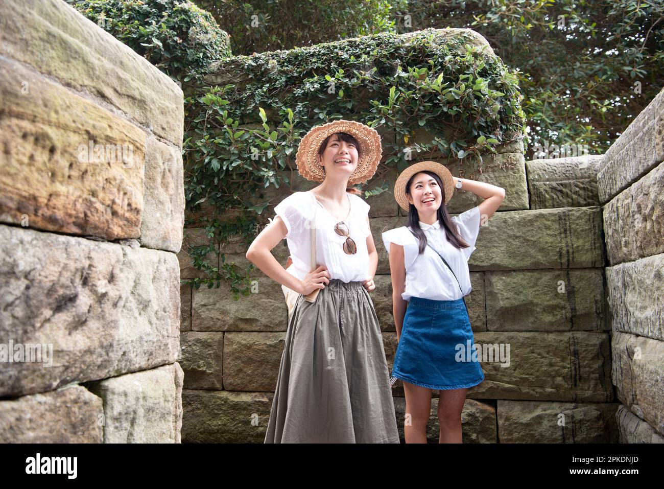 Student study far away hi-res stock photography and images - Alamy