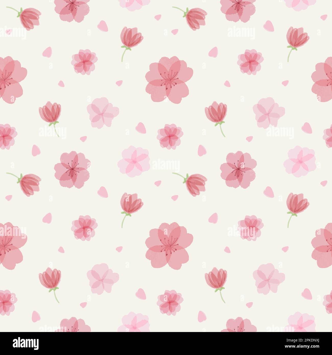 Cherry flowers white petals Stock Vector Images - Alamy