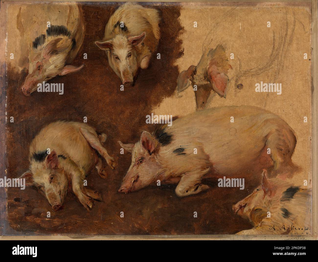 Study of six Pigs 1900 by Anders Askevold Stock Photo - Alamy