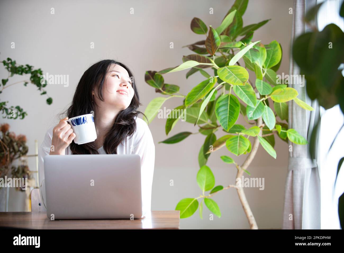 Woman laughing in front of computer Stock Photo - Alamy