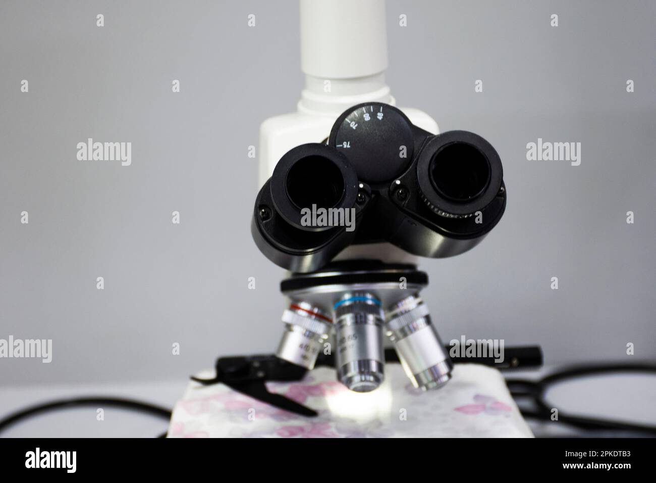 Korean scientist hi-res stock photography and images - Alamy