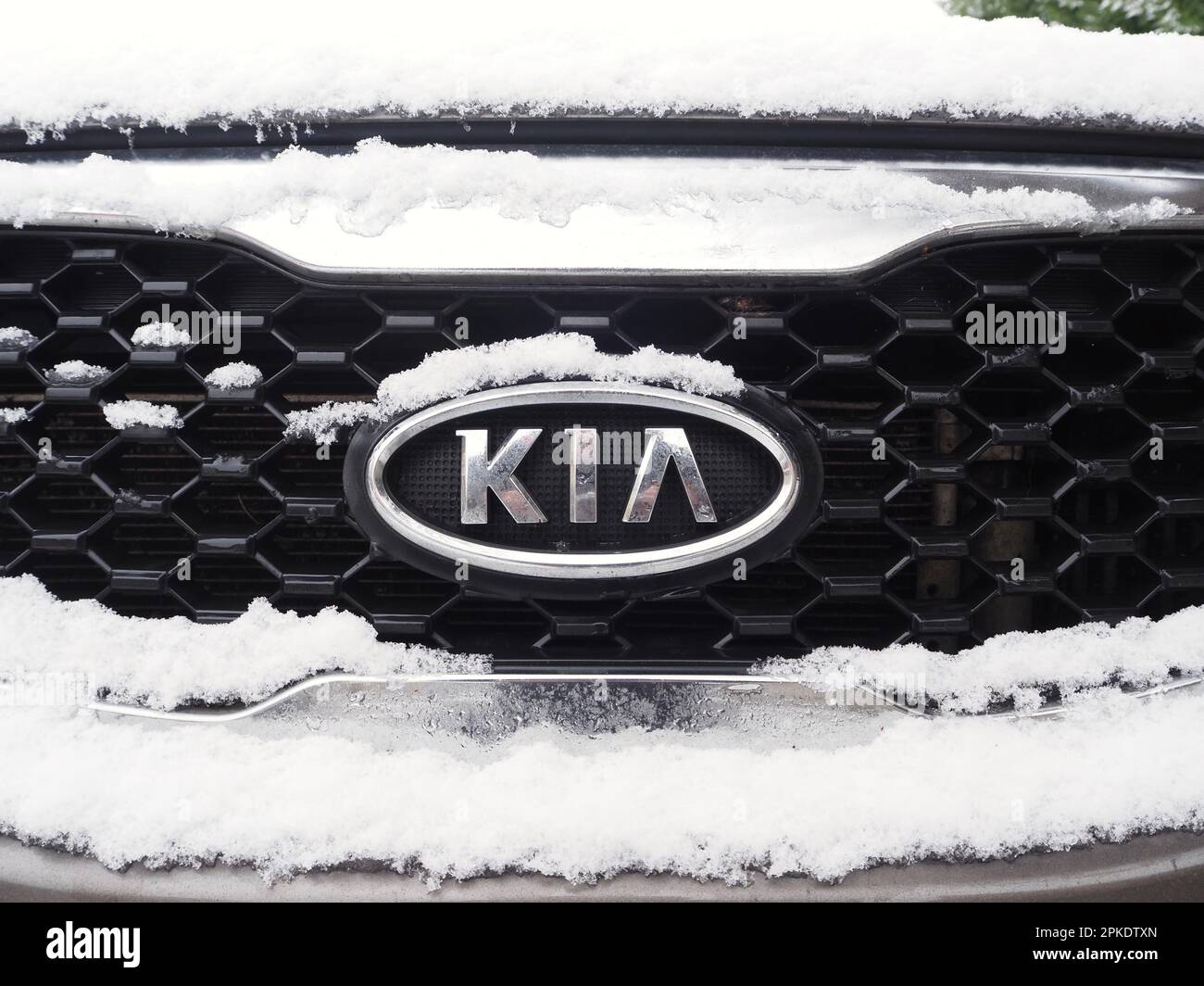 Front end of a Kia car, covered in snow, showing the brand badge ...