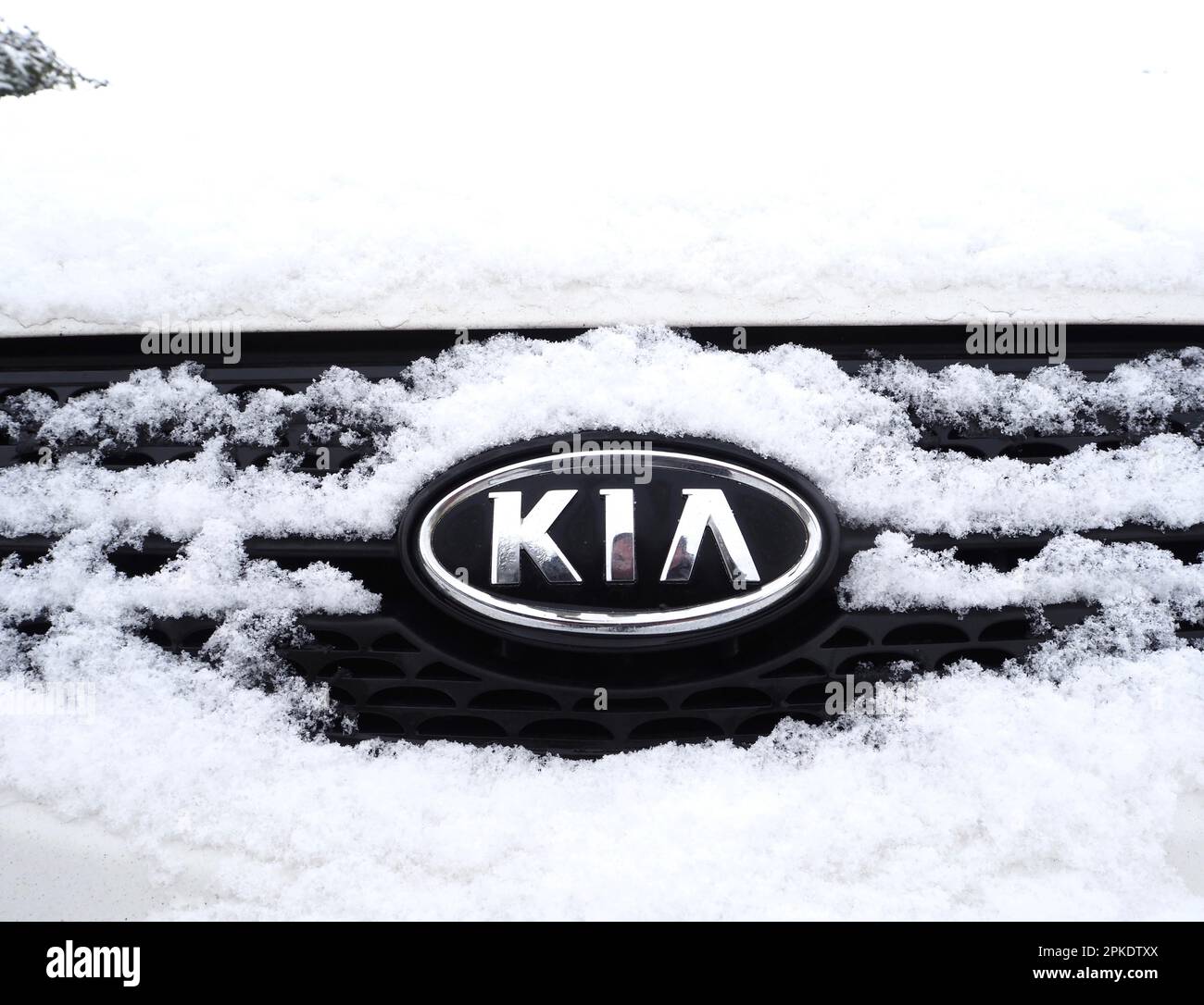 Front end of a Kia car, covered in snow, showing the brand badge ...