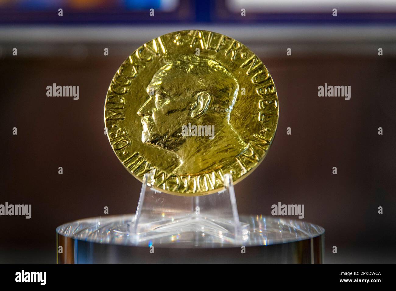 1998 Nobel Peace Prize medal awarded to the late John Hume, on display ...