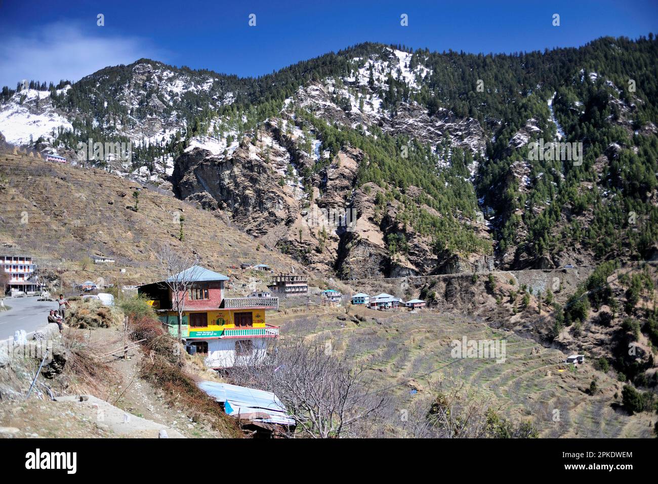 Himalayan landscape and snow covered terrace farming land in state ...