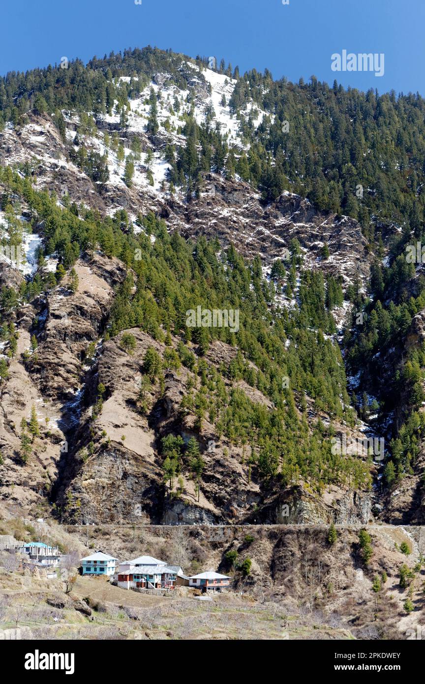 Himalayan landscape and snow covered terrace farming land in state ...