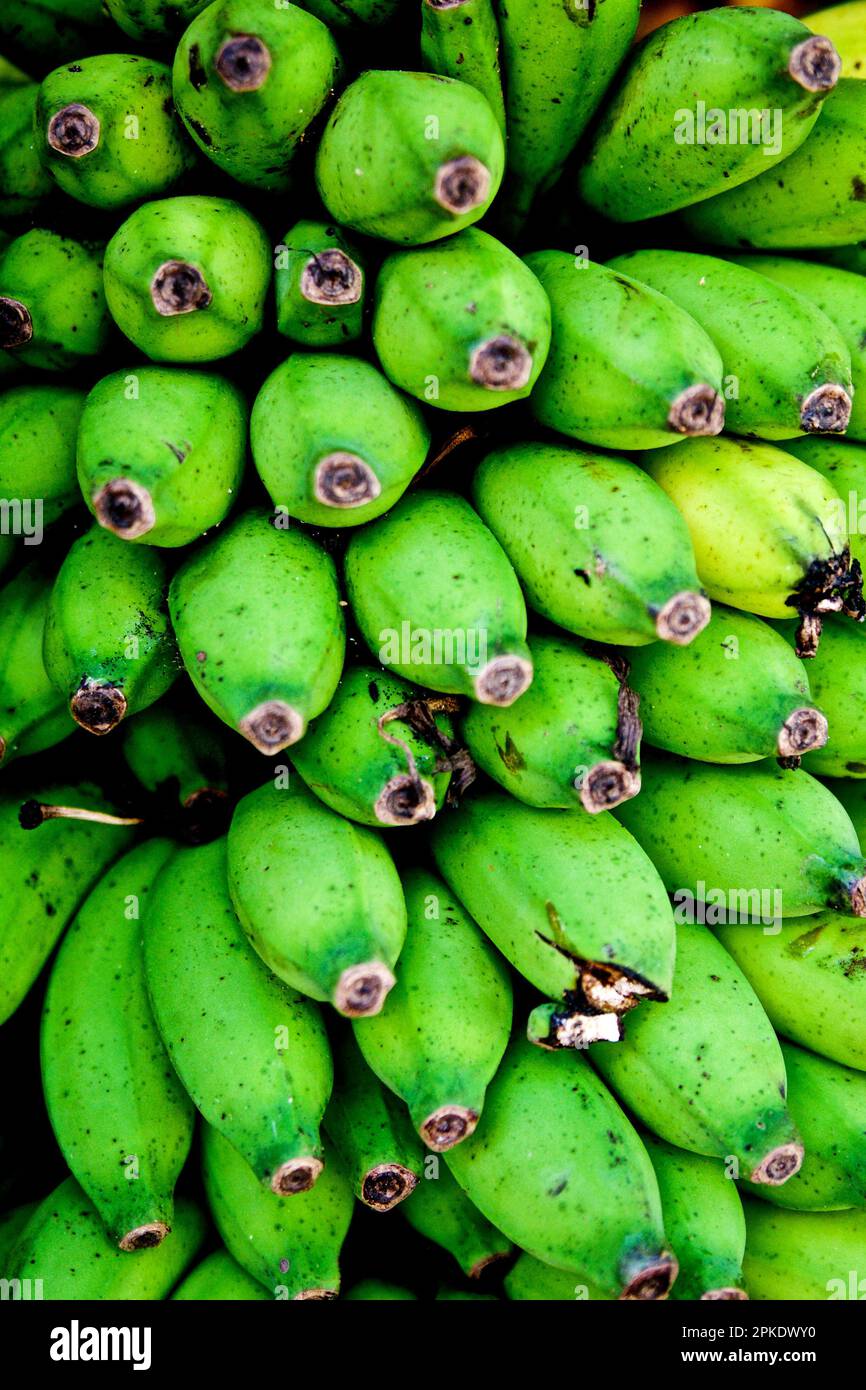 Bananas close up hi-res stock photography and images - Alamy