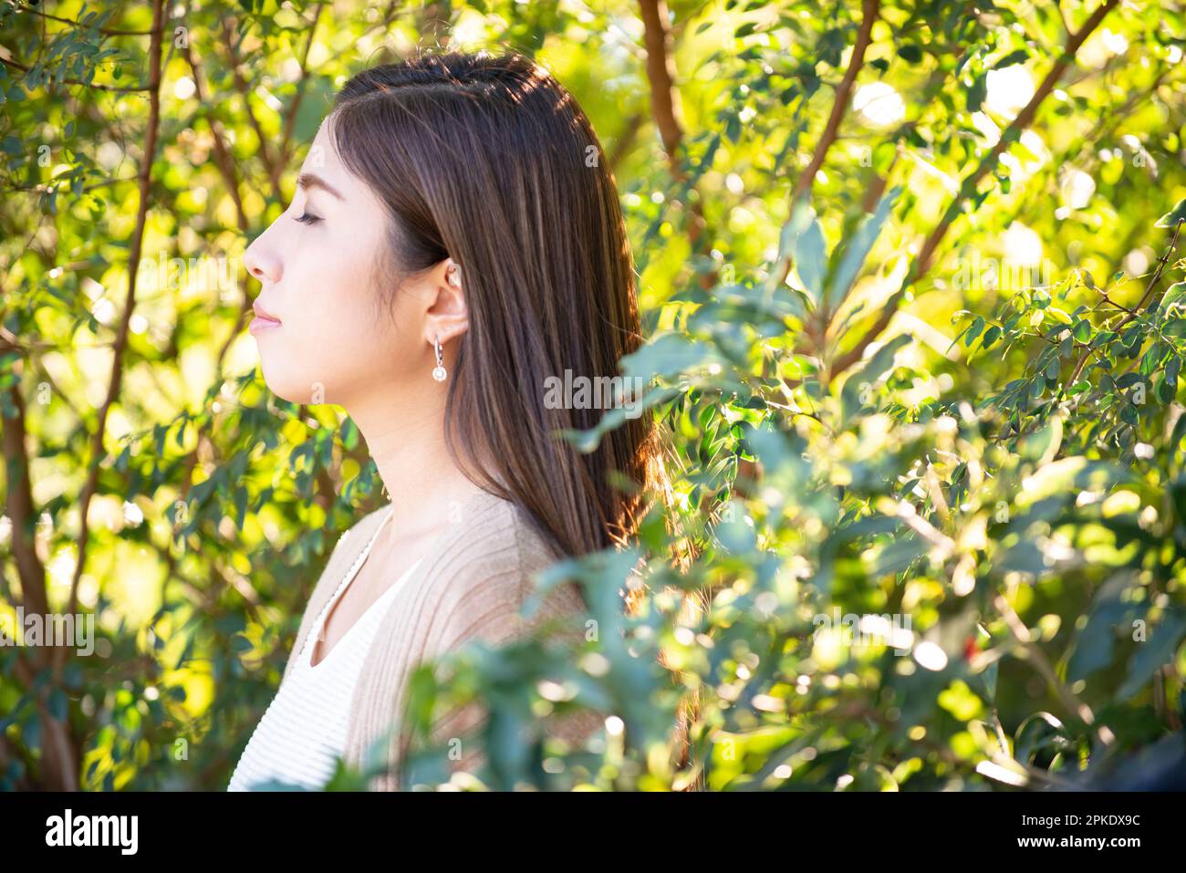Woman in trees hi-res stock photography and images - Alamy