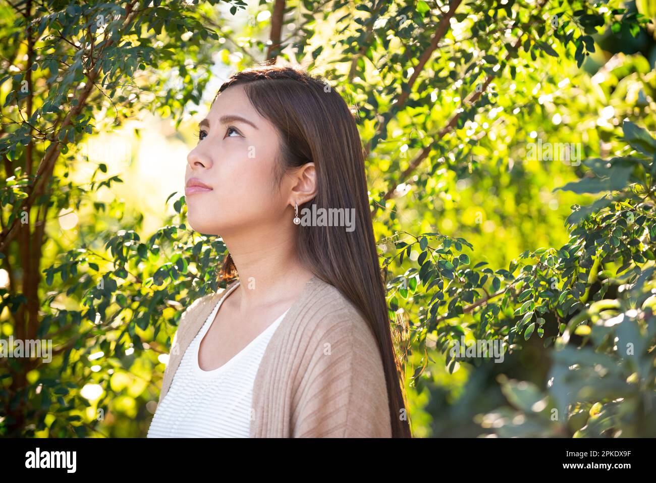 Woman in trees hi-res stock photography and images - Alamy