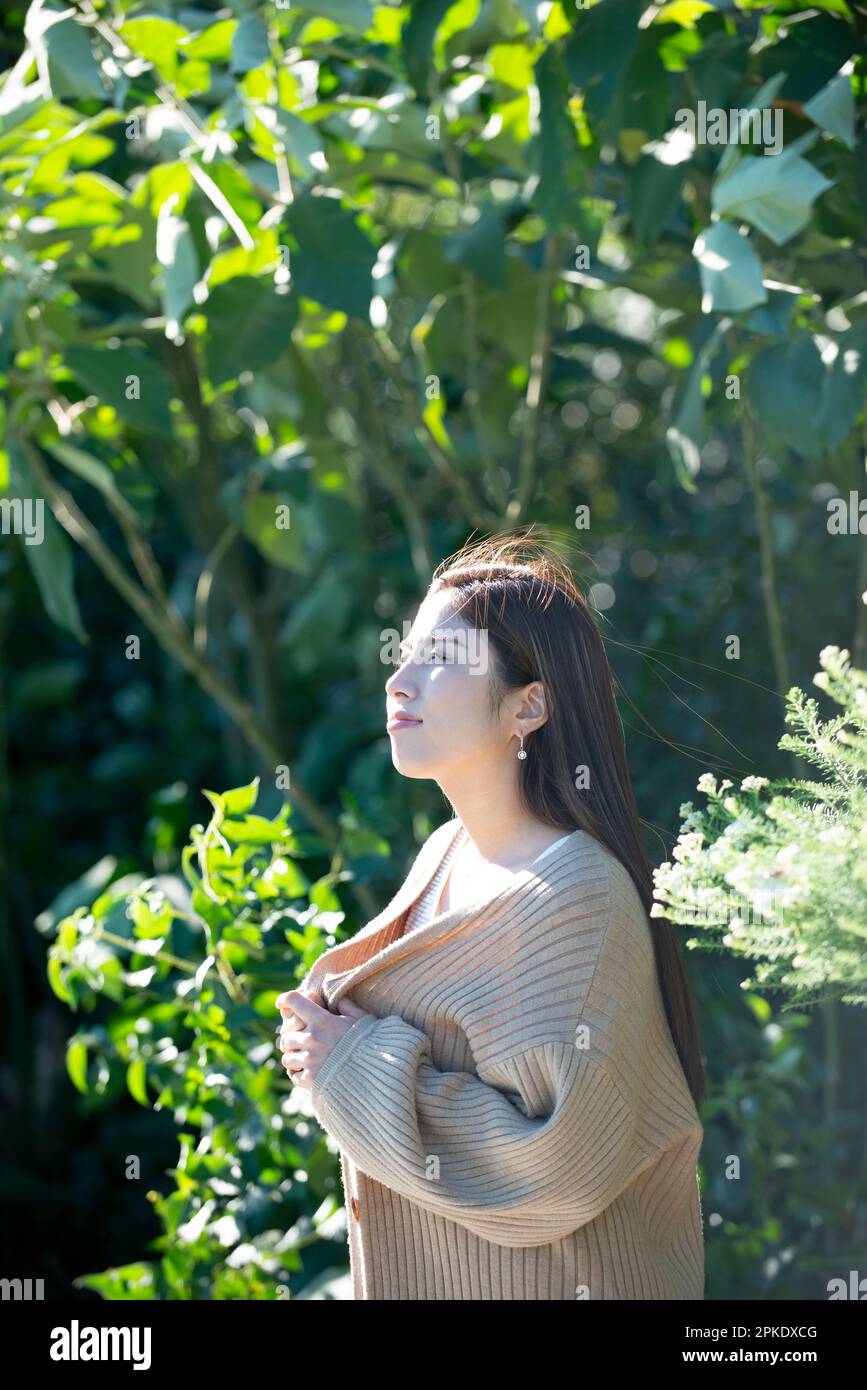 Woman in trees hi-res stock photography and images - Alamy