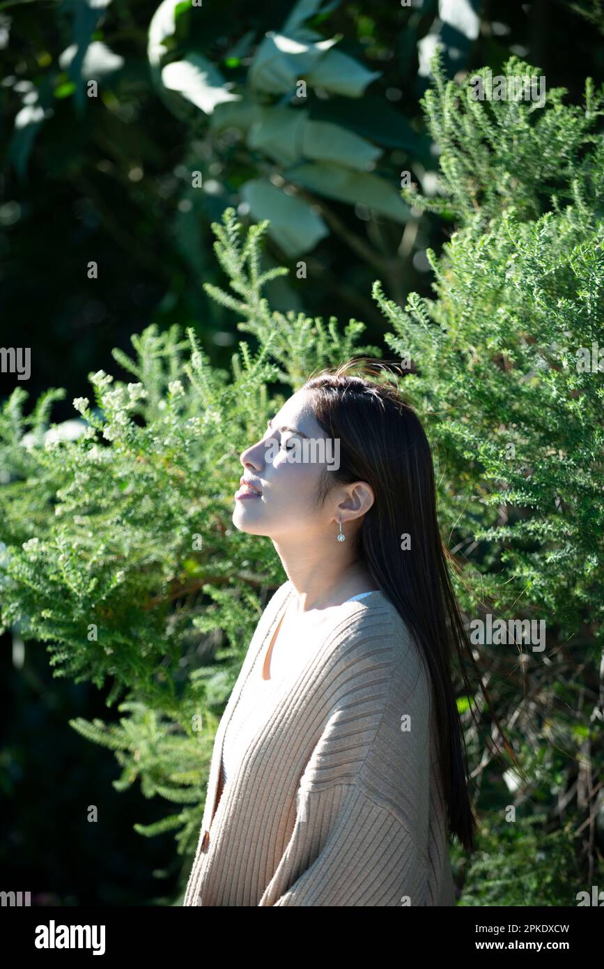 Botanical profile hi-res stock photography and images - Alamy