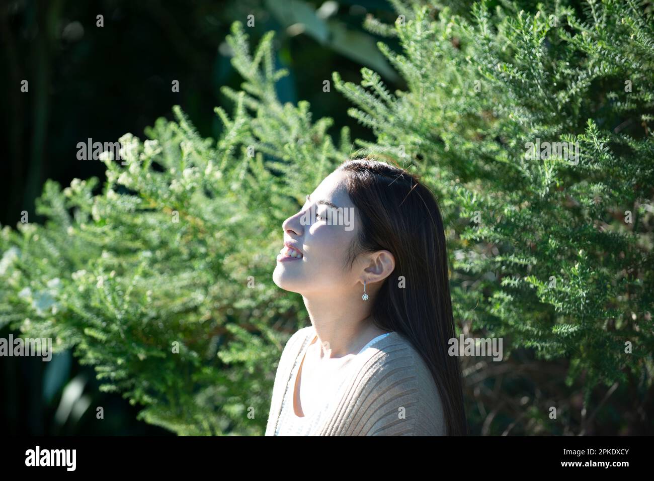 Botanical profile hi-res stock photography and images - Alamy