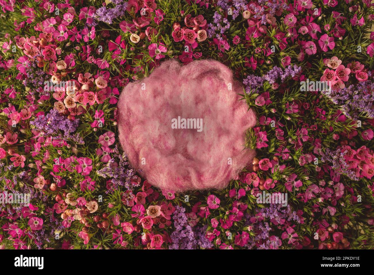 Digital background for new-born baby photography Stock Photo - Alamy