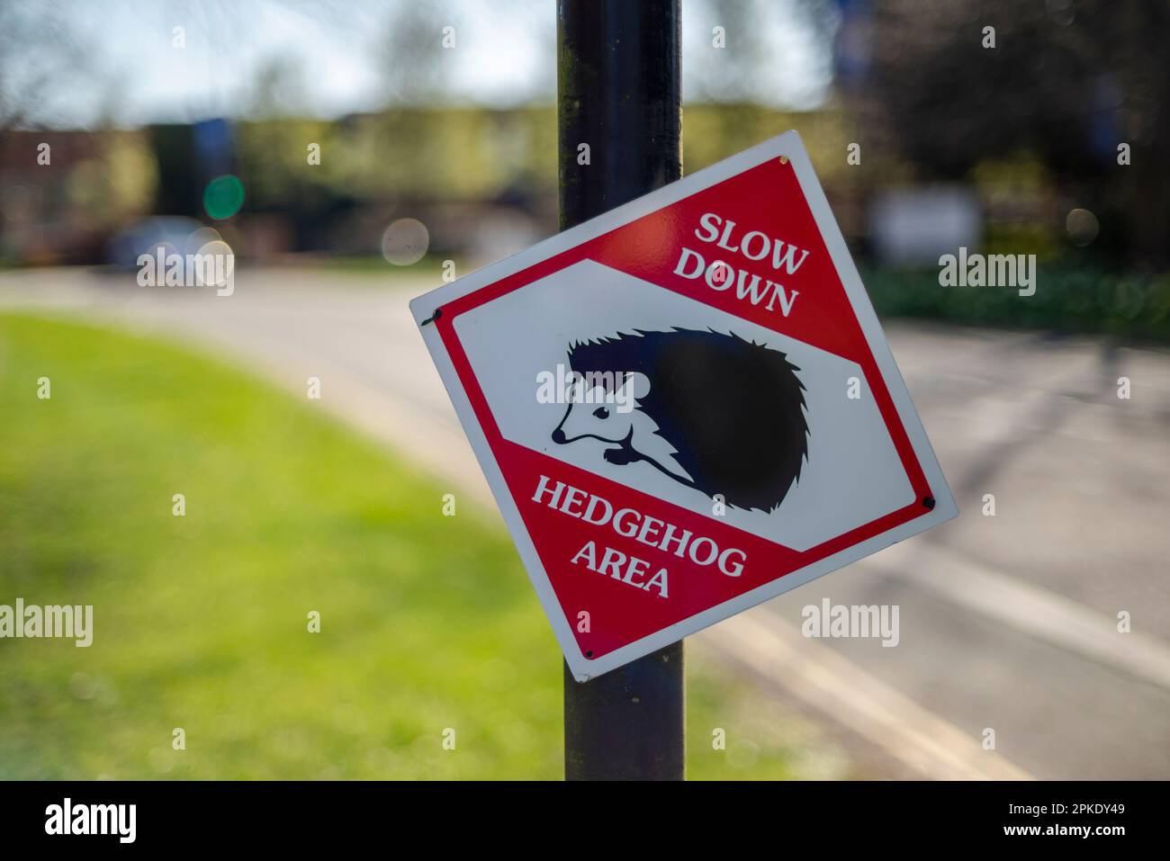 "Slow down Hegehog area" sign on the side of a road in Southampton ...