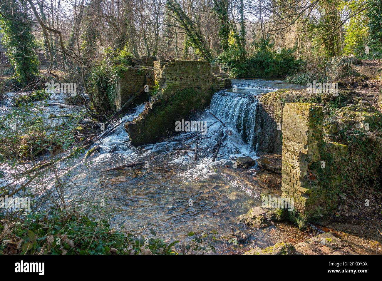 Kearsney abbey gardens hi-res stock photography and images - Alamy