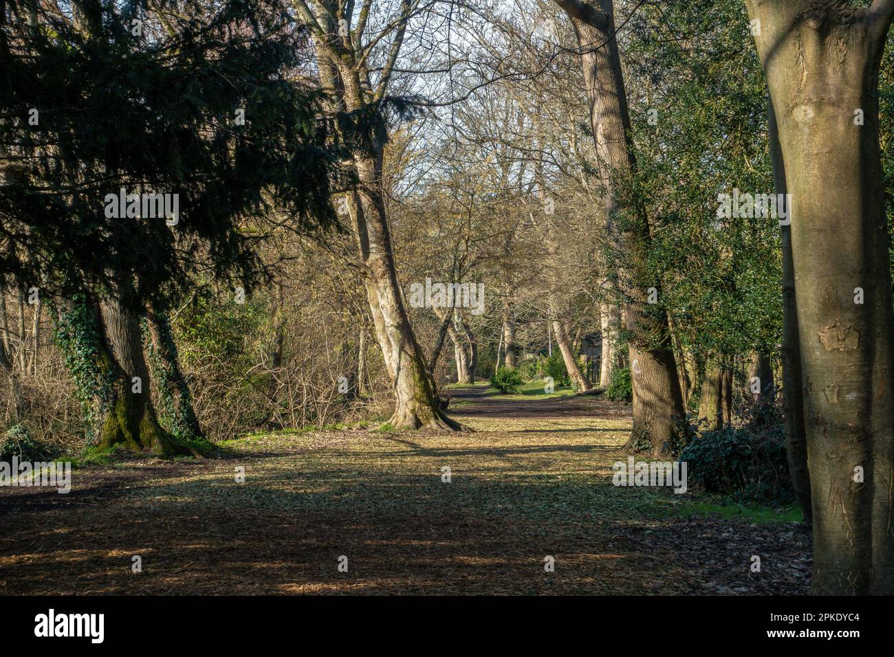 Woodland Walk,Kearsney Abbey,Park,Gardens,Kearsney,Dover,Kent,England ...