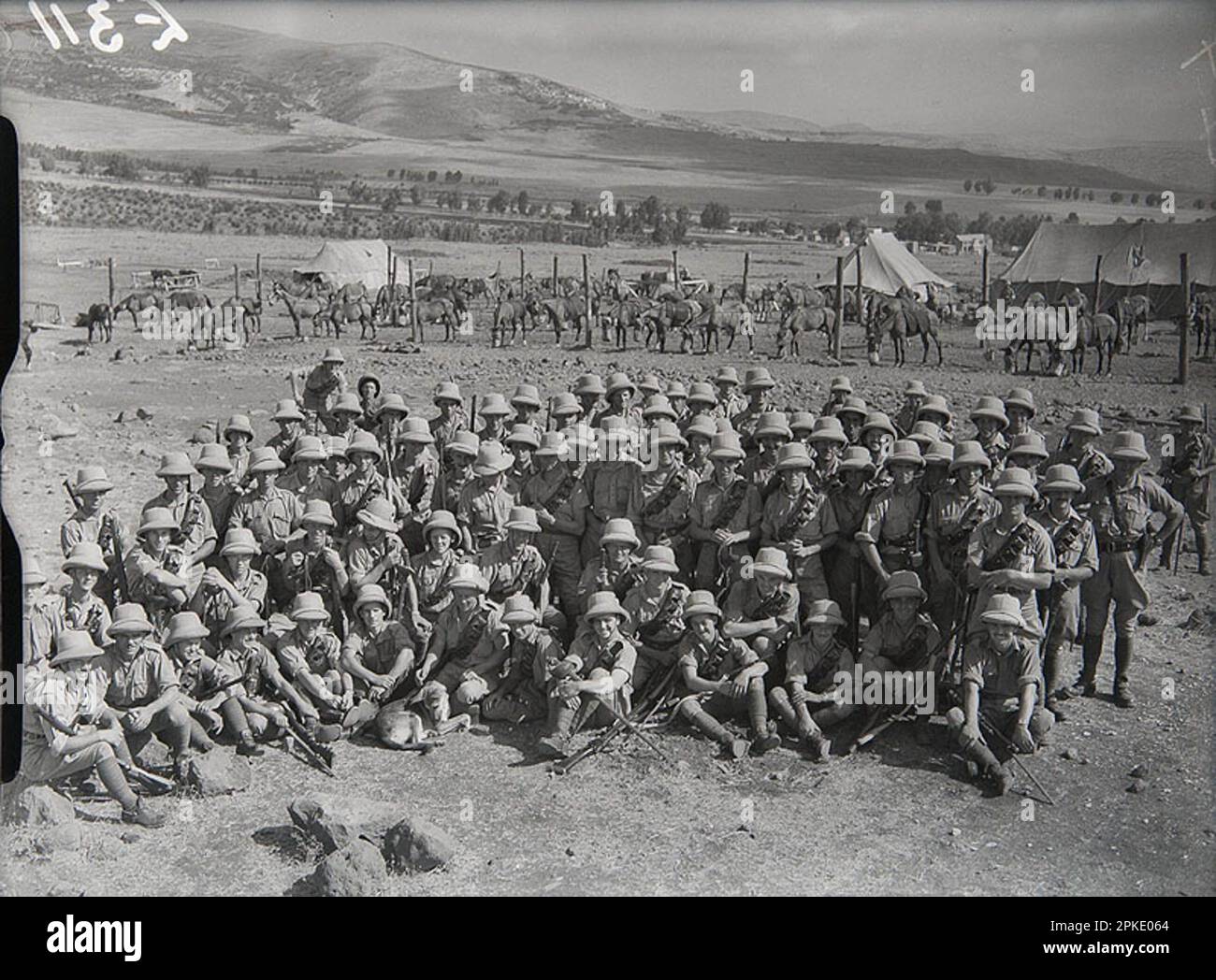 1st cavalry division hi-res stock photography and images - Alamy