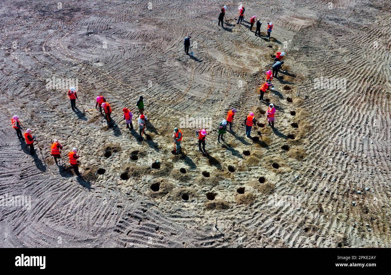 ZHANGYE, CHINA - APRIL 7, 2023 - People shovel soil, help trees ...