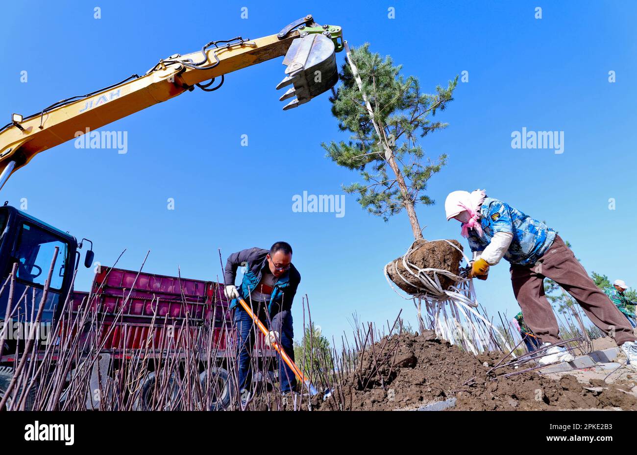China tree planting gansu hi-res stock photography and images - Alamy