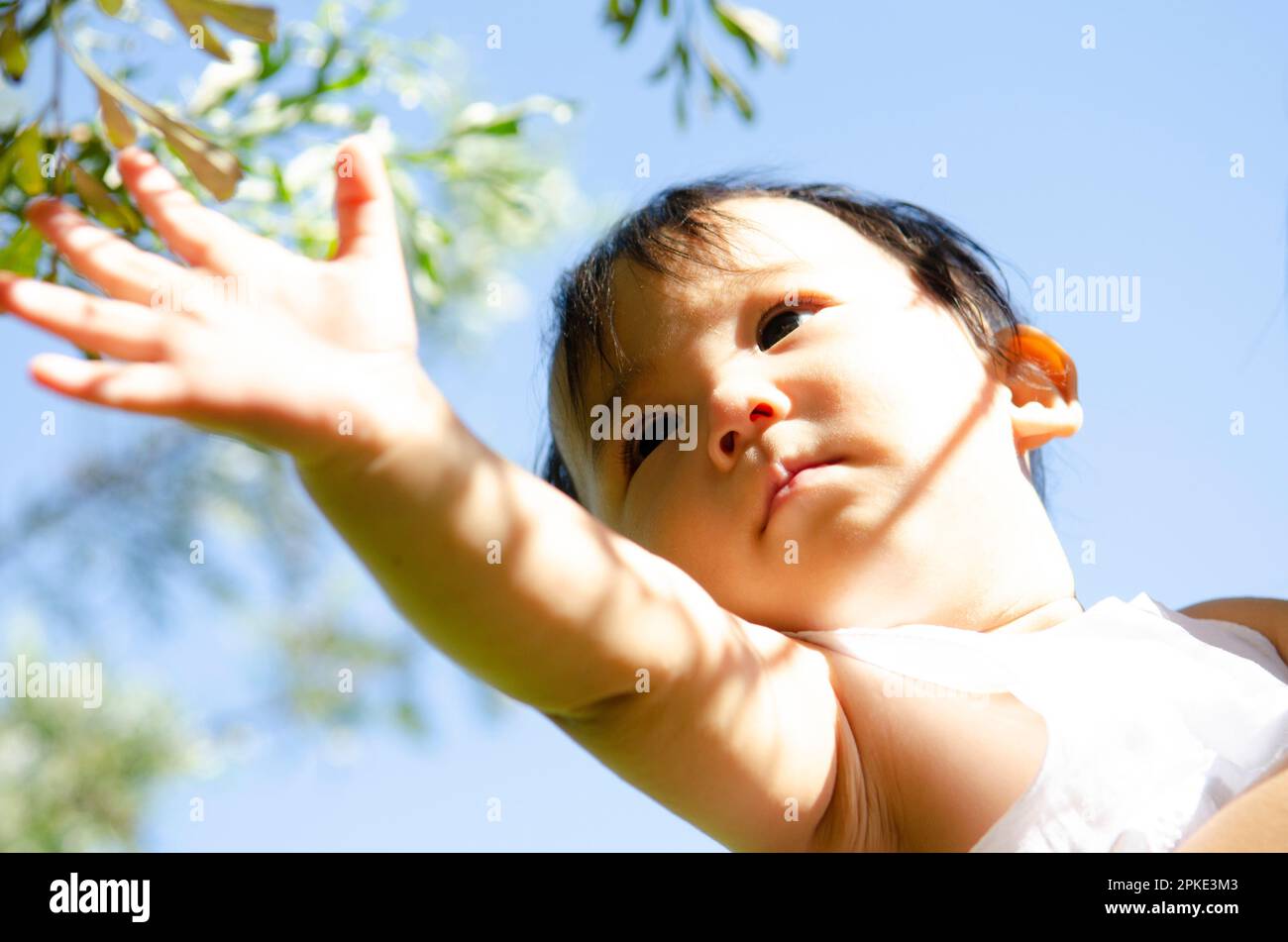 Baby reaching out his hand Stock Photo - Alamy