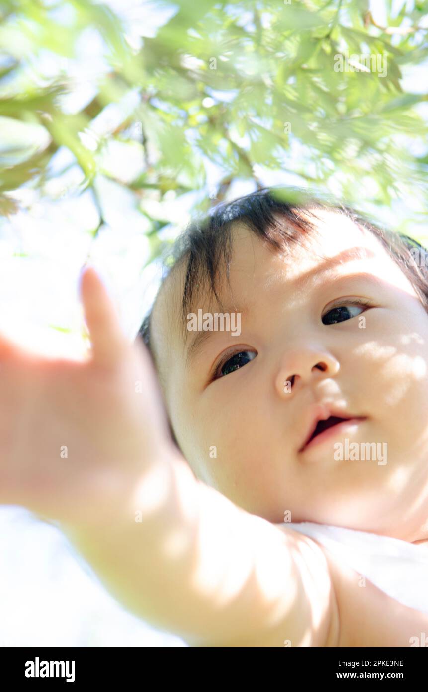 Baby reaching out Stock Photo - Alamy