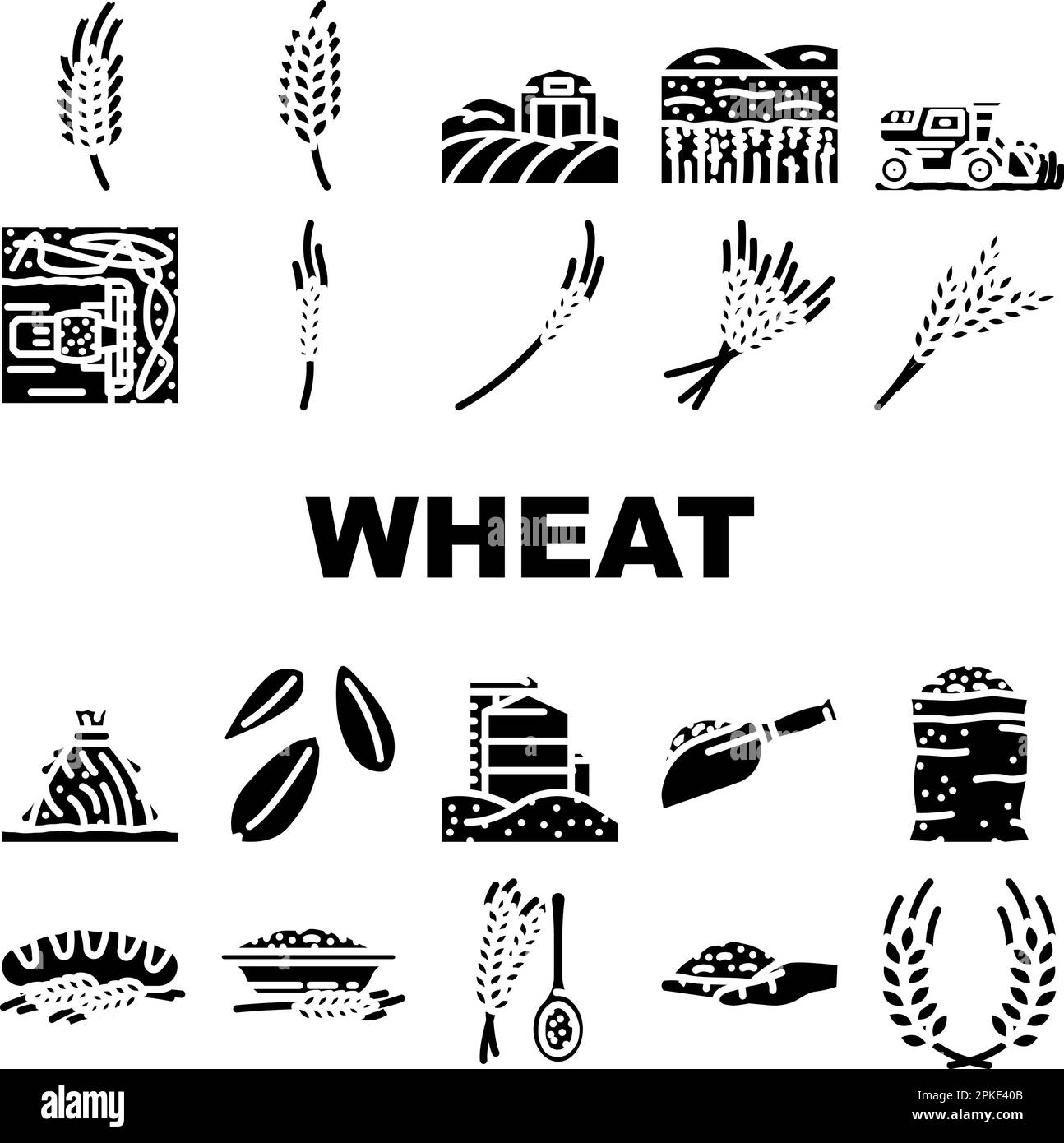 wheat grain cereal plant icons set vector Stock Vector Image & Art - Alamy
