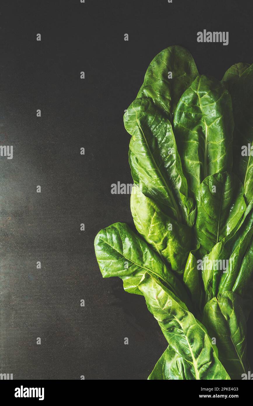 Leaf beat plant, perpetual spinach leaves on black rustic metal ...