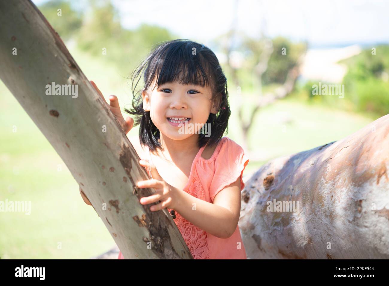 Girl climbing tree hi-res stock photography and images - Alamy