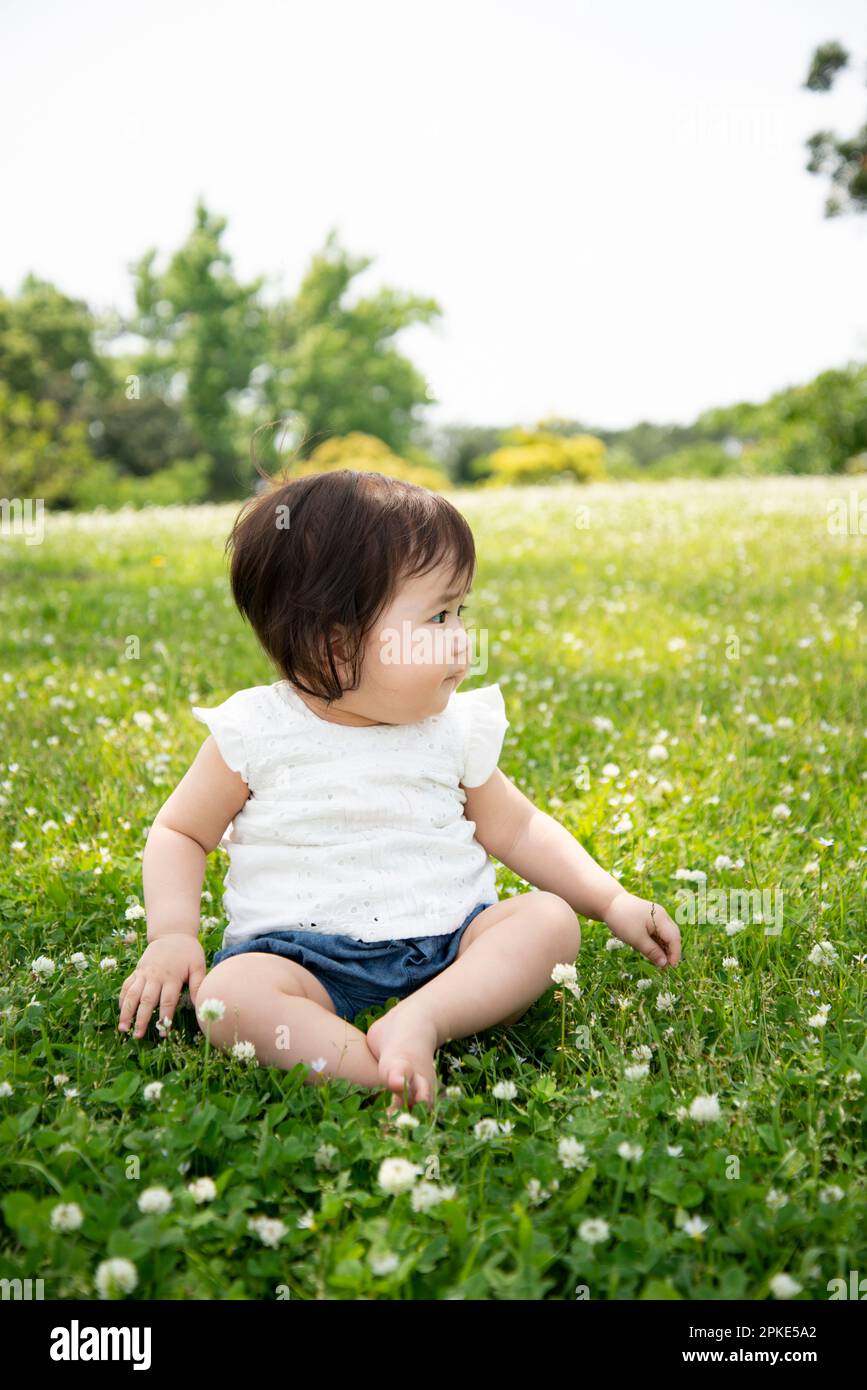 Sitting arrangement hi-res stock photography and images - Alamy