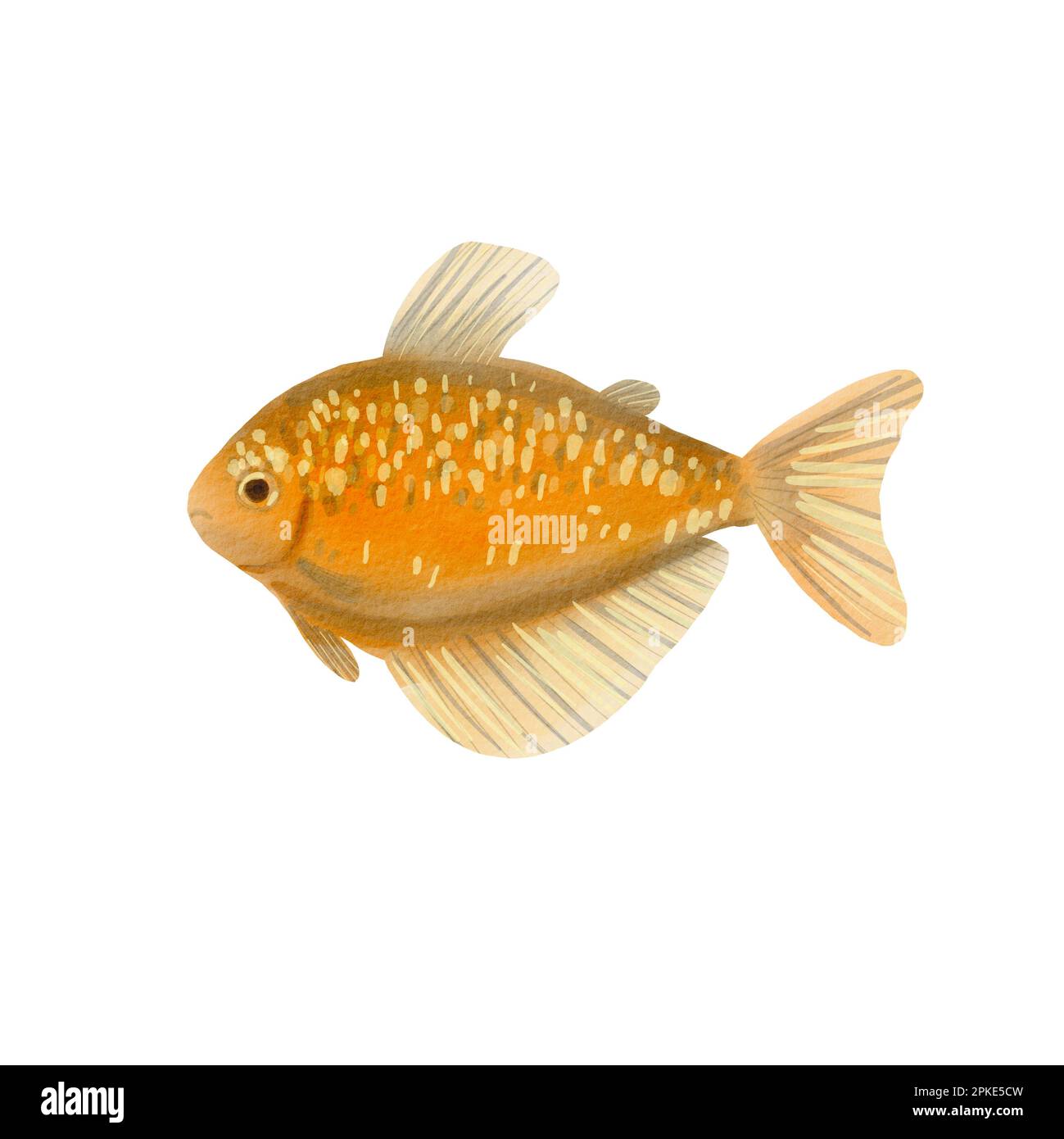Yellow tropical fish isolated on white background. Watercolor ...