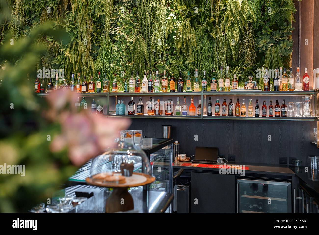 Eco architecture. Floral interior. Green cafe with plants Stock Photo ...