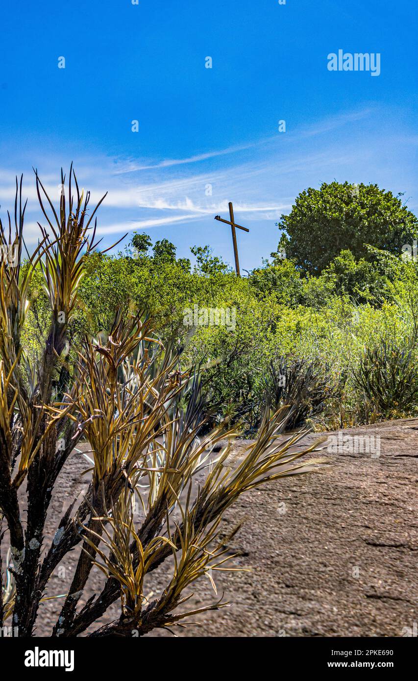 "Chacara Von Schilgen" in Vitoria state of Espirito Santo Brazil, birds ...