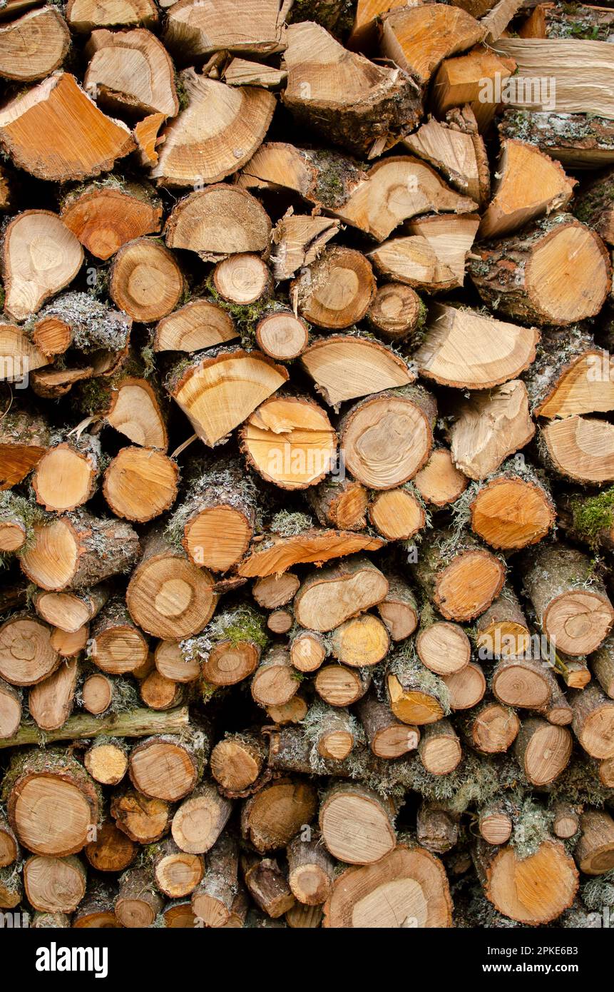 Natural drying of wood hi-res stock photography and images - Alamy