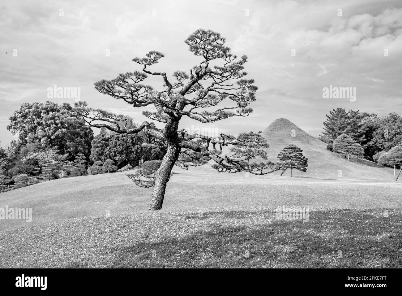 Suizenji koen Black and White Stock Photos & Images - Alamy