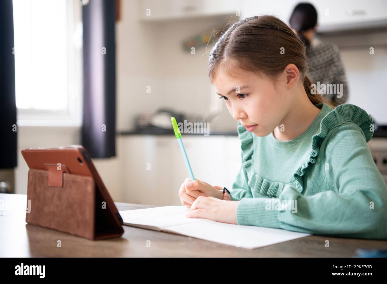 Girl studying at the dining room table Stock Photo - Alamy