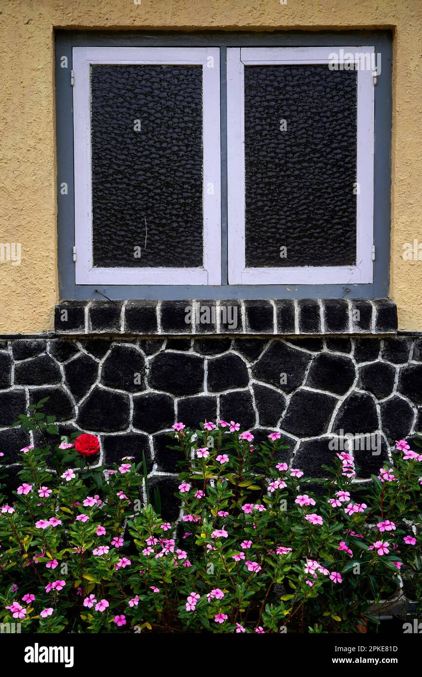 Window on the Dutch design house with beautiful flow ers below ...