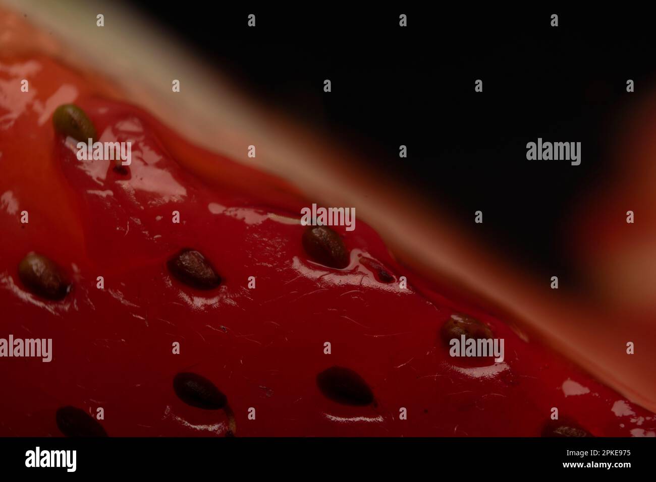 Starberry with black background Stock Photo - Alamy