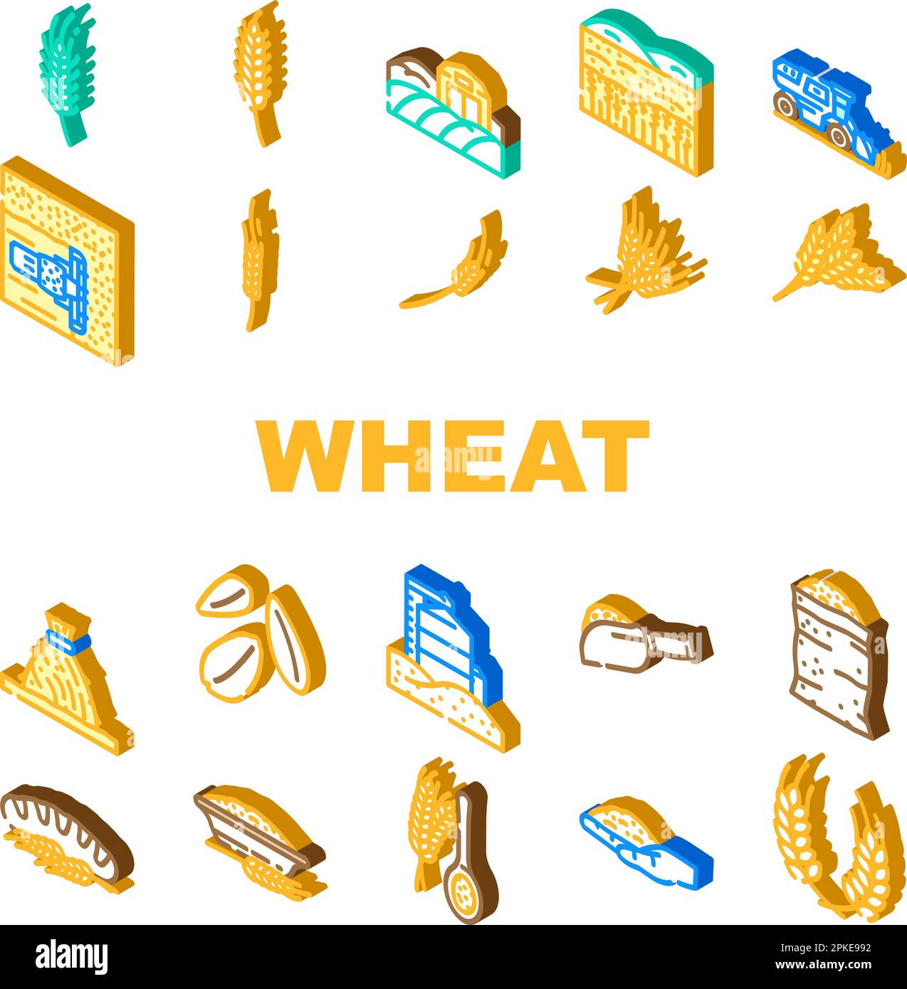 wheat grain cereal plant icons set vector Stock Vector Image & Art - Alamy