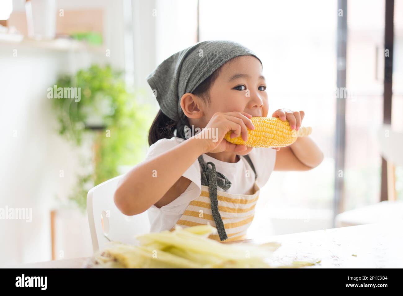 Corn corn hi-res stock photography and images - Alamy