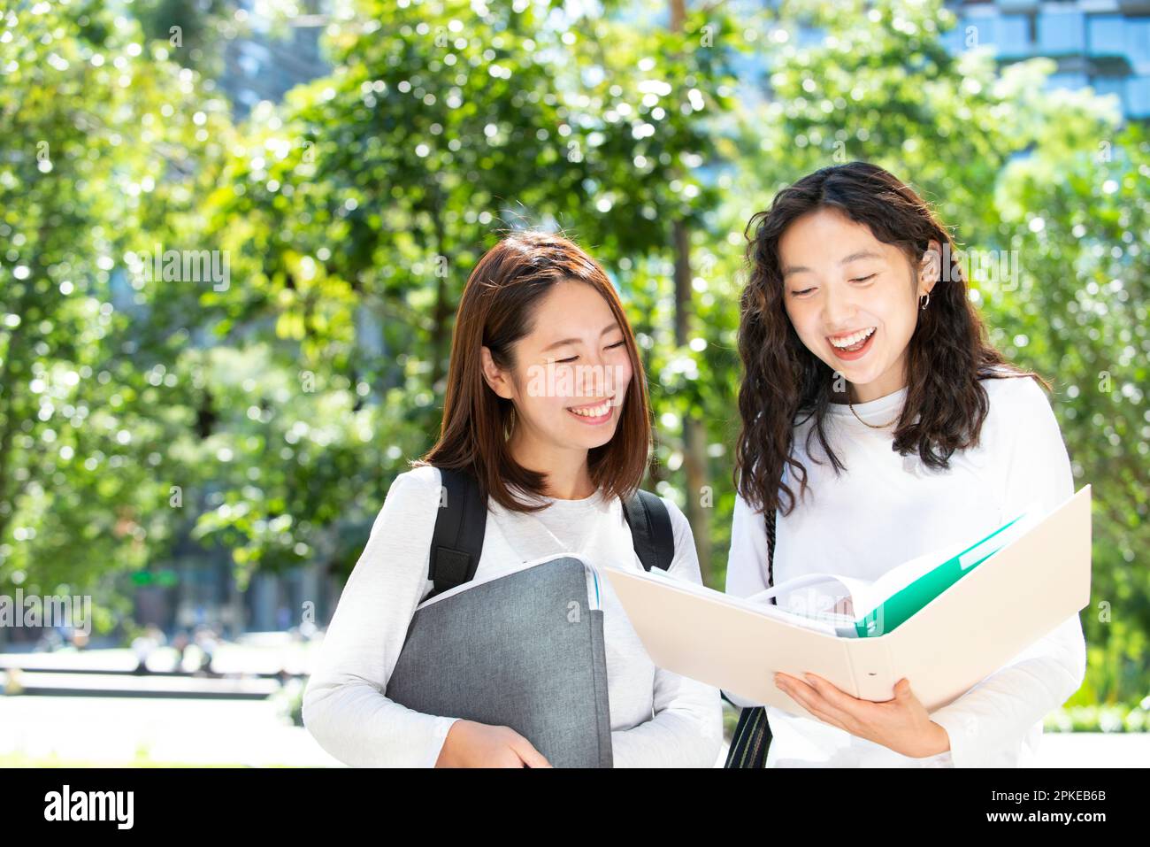 Two female students talking with files spread out Stock Photo - Alamy