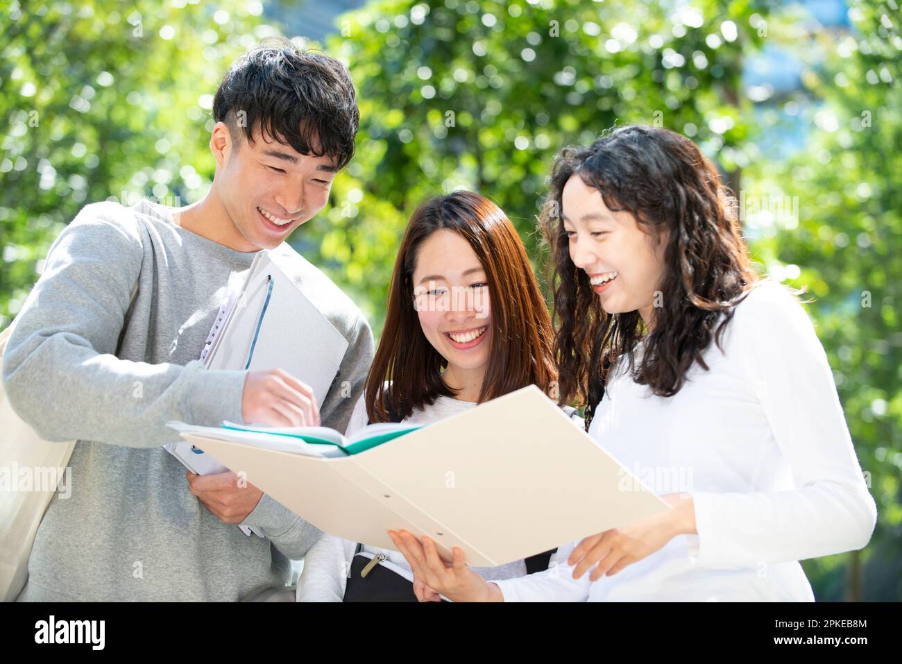 Three students talking with files spread out Stock Photo - Alamy