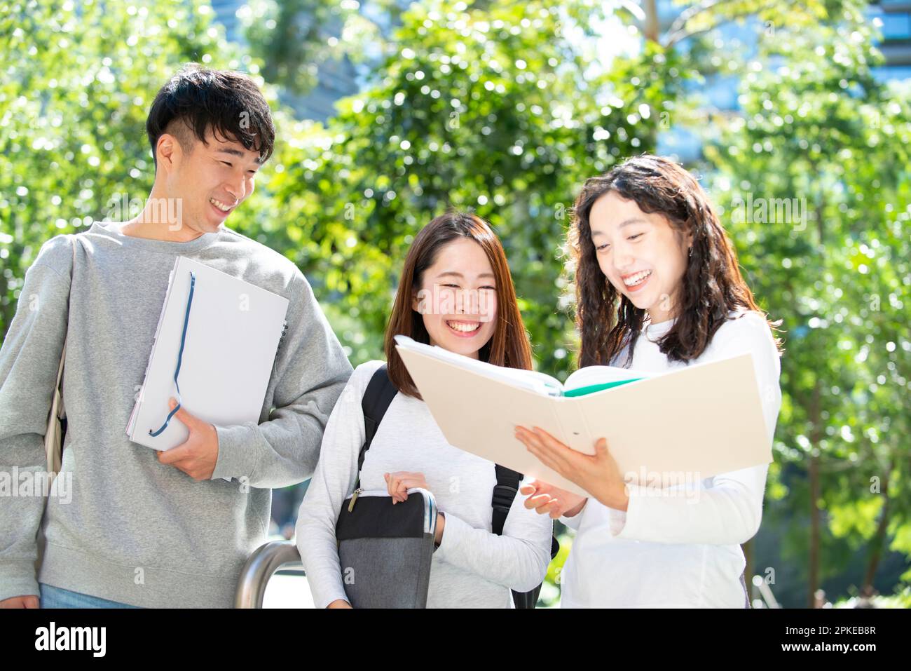 Three students talking with files spread out Stock Photo - Alamy