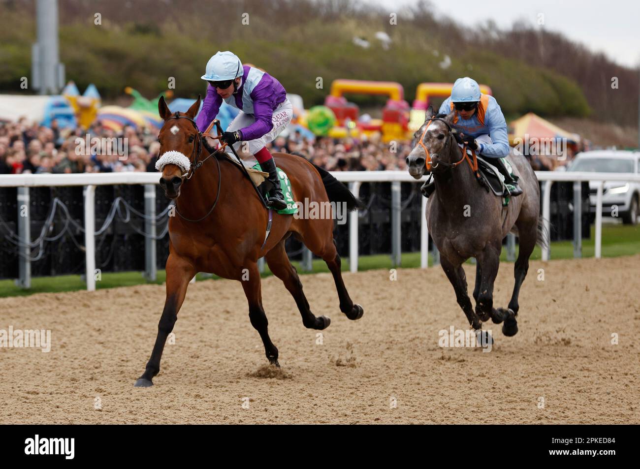 Desert cop horse hi-res stock photography and images - Alamy