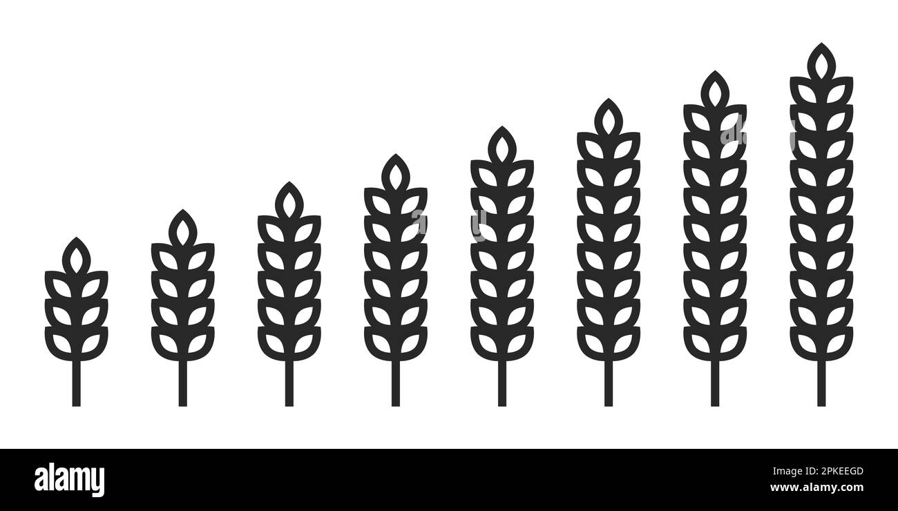 Grain icon set flat Black and White Stock Photos & Images - Alamy