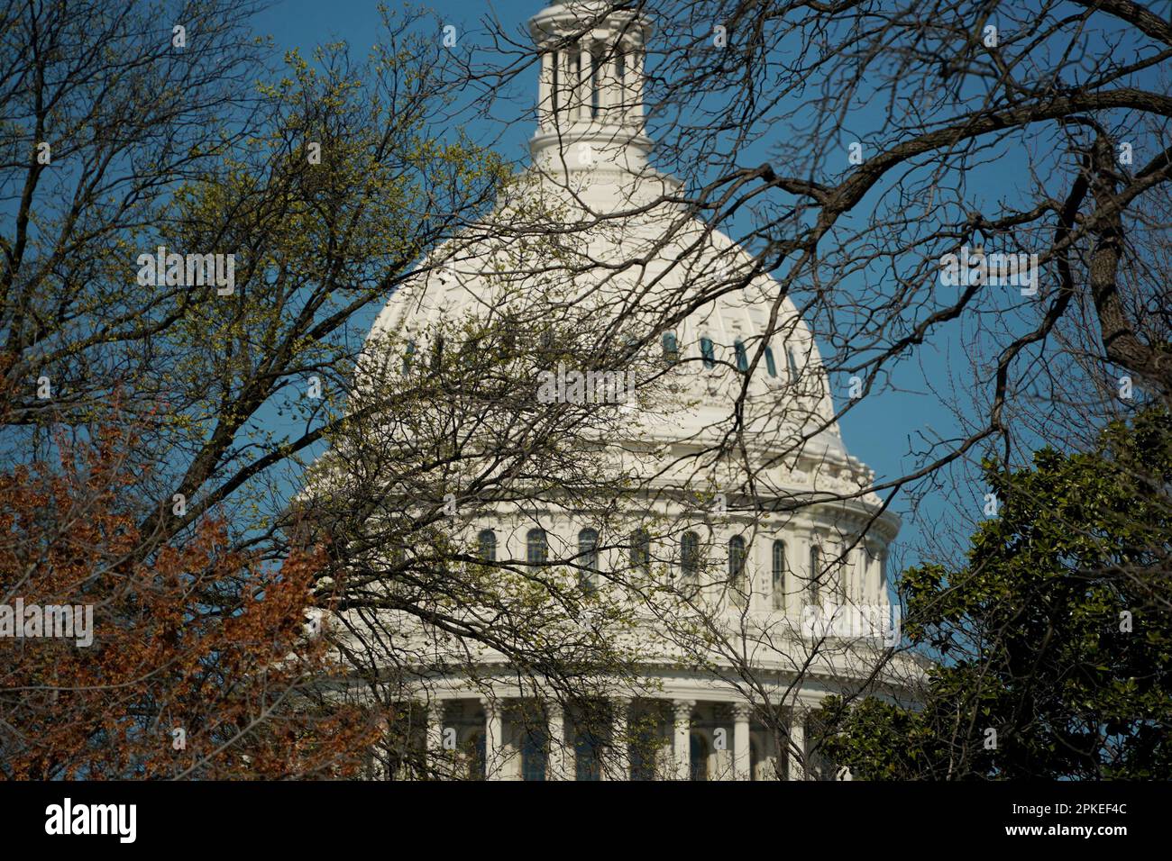 Branches of federal government hi-res stock photography and images - Alamy