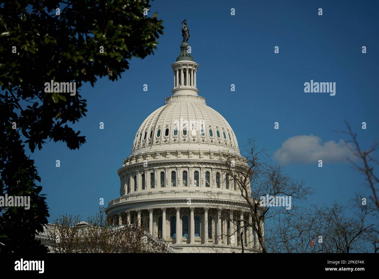 Branches of federal government hi-res stock photography and images - Alamy